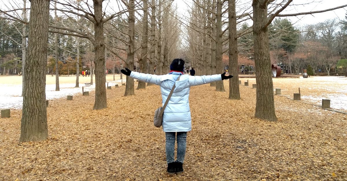 Nami Island Guide: Entrance Fee, Things to Do & Where to Stay