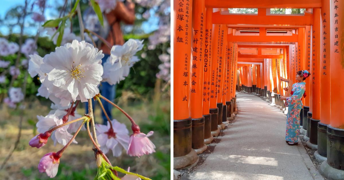 Our 10-Day Japan Spring Itinerary: Nagoya, Kyoto, Osaka & Tokyo